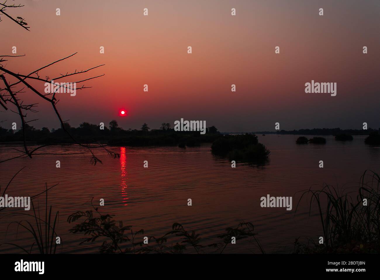 Amazon river delta hi-res stock photography and images - Alamy