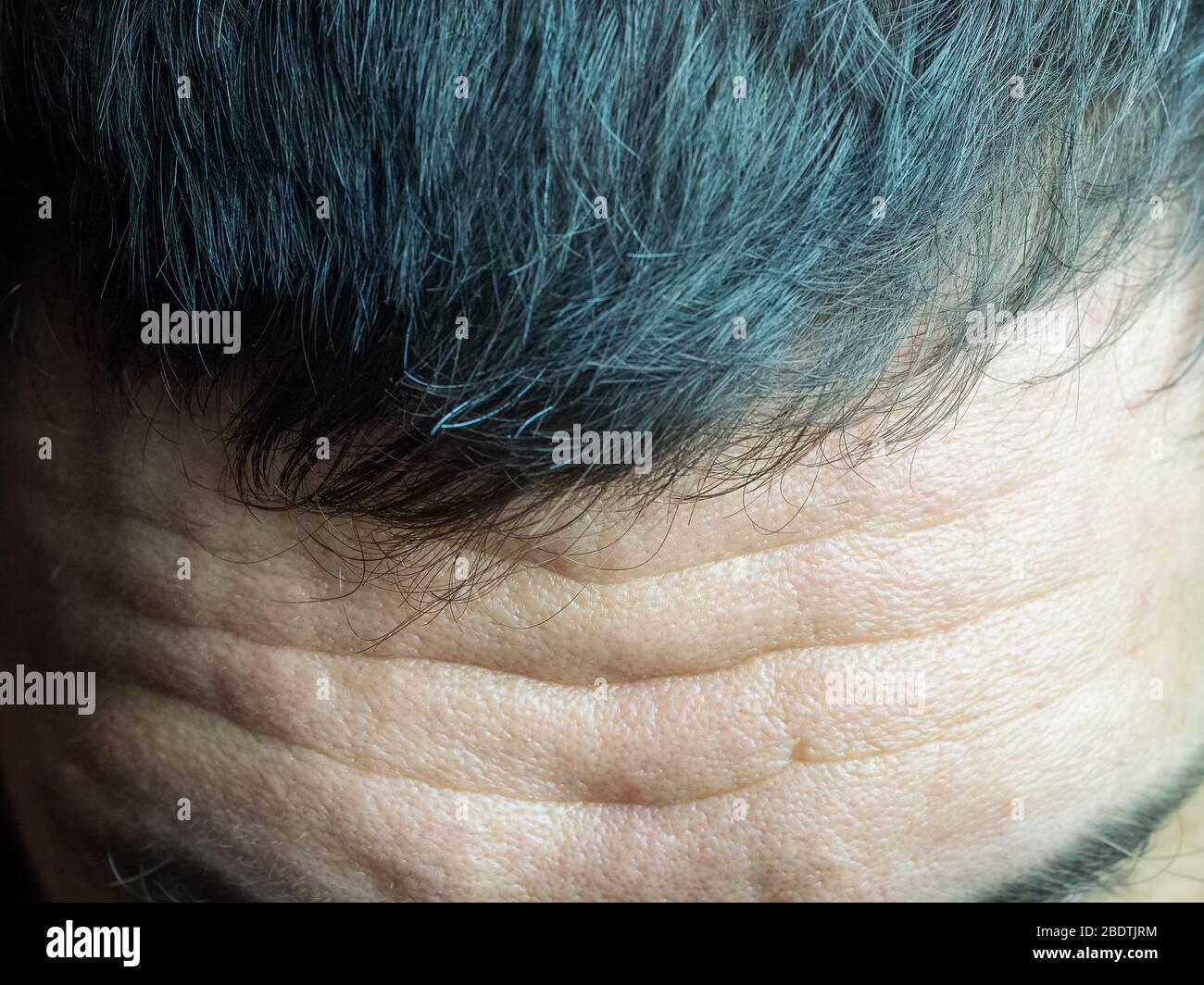 Wrinkly forehead hi-res stock photography and images - Alamy