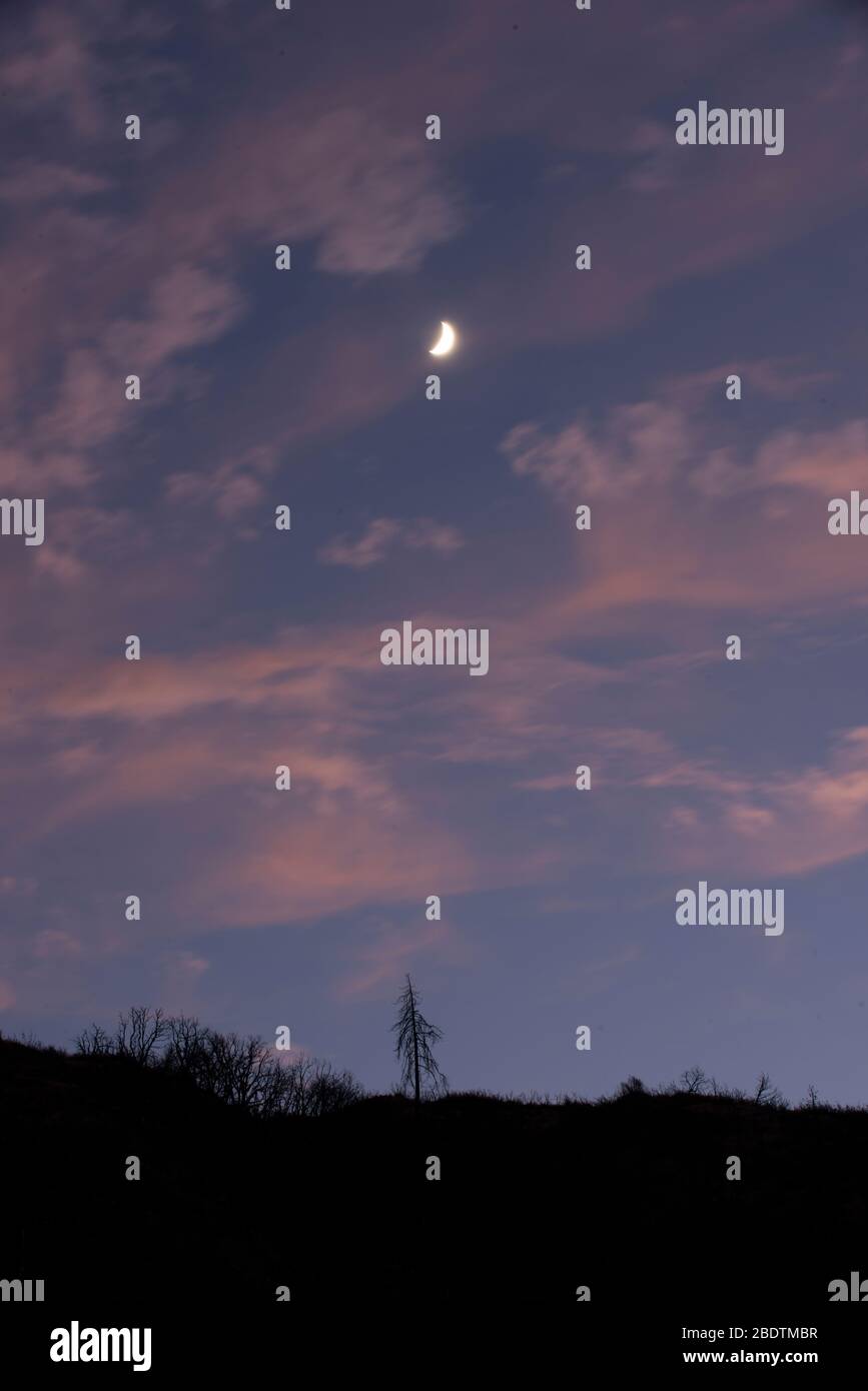 Soft silhouette hi-res stock photography and images - Alamy