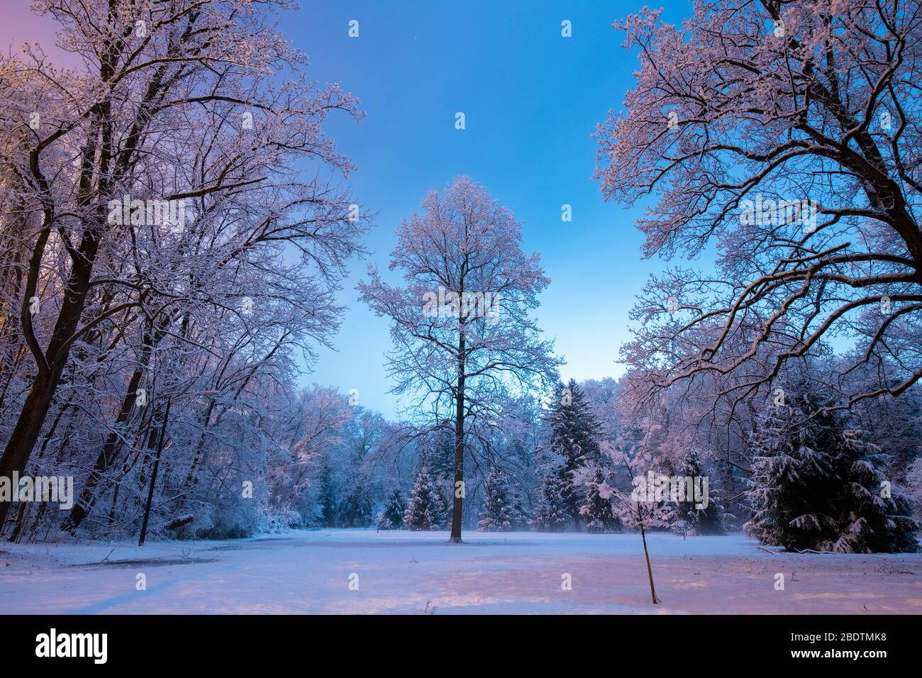 Stark rural winter scene in hi-res stock photography and images - Alamy