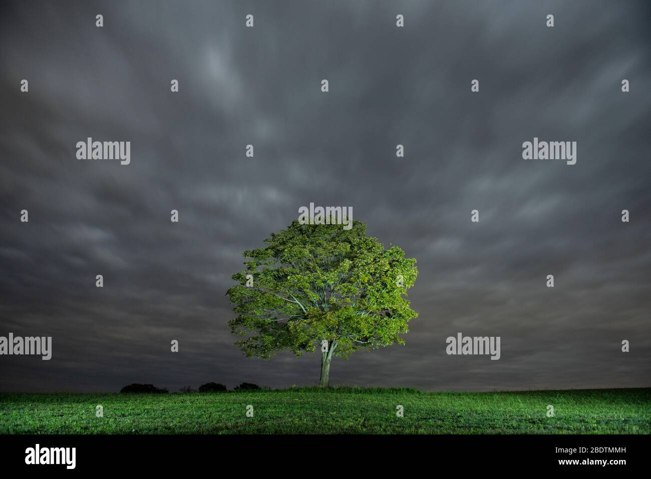 Lone Tree in a Field on a Cloudy Night Stock Photo - Alamy