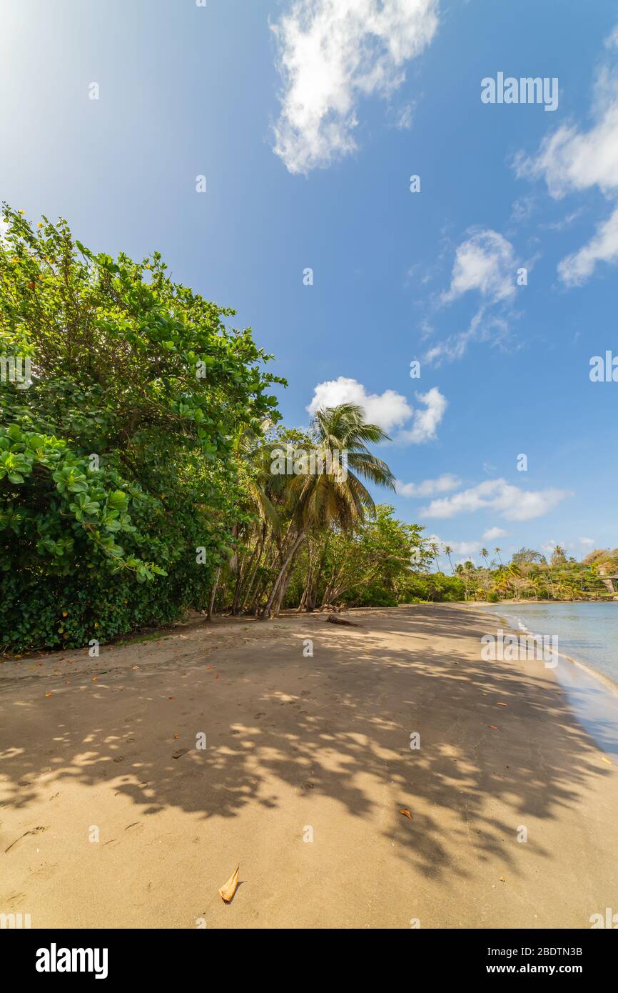 Saint Vincent and the Grenadines, black sand beach in Blue Lagoon Stock ...