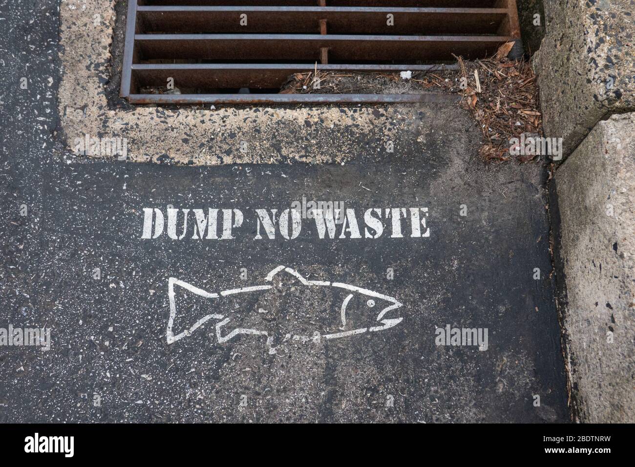 Dump No Waste and the outline of a fish stenciled on the blacktop of a ...