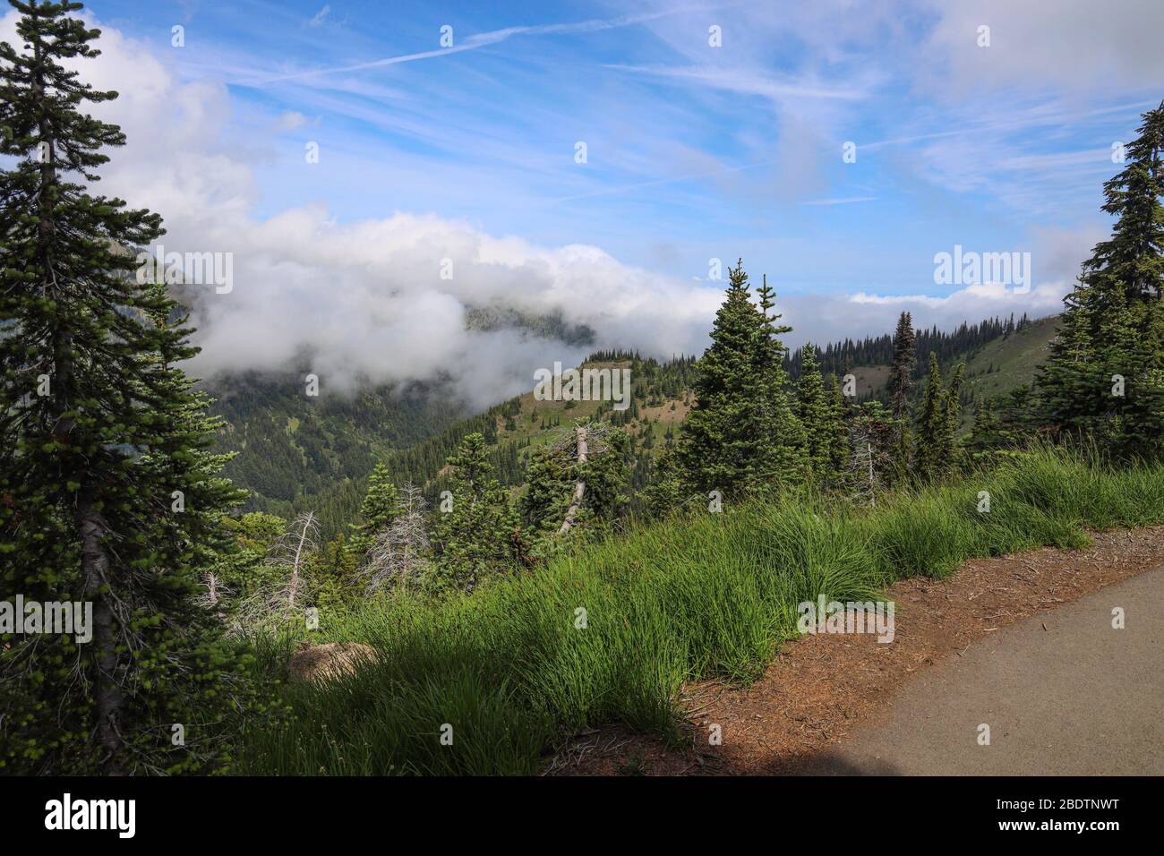 Hurricane ridge hiking hi-res stock photography and images - Alamy