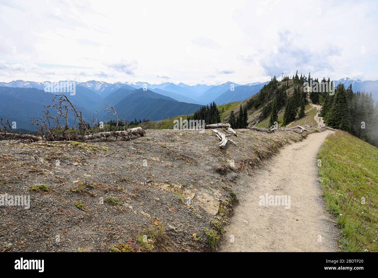 Scenic View of Hiking Trail on Hurricane Ridge Stock Photo - Alamy