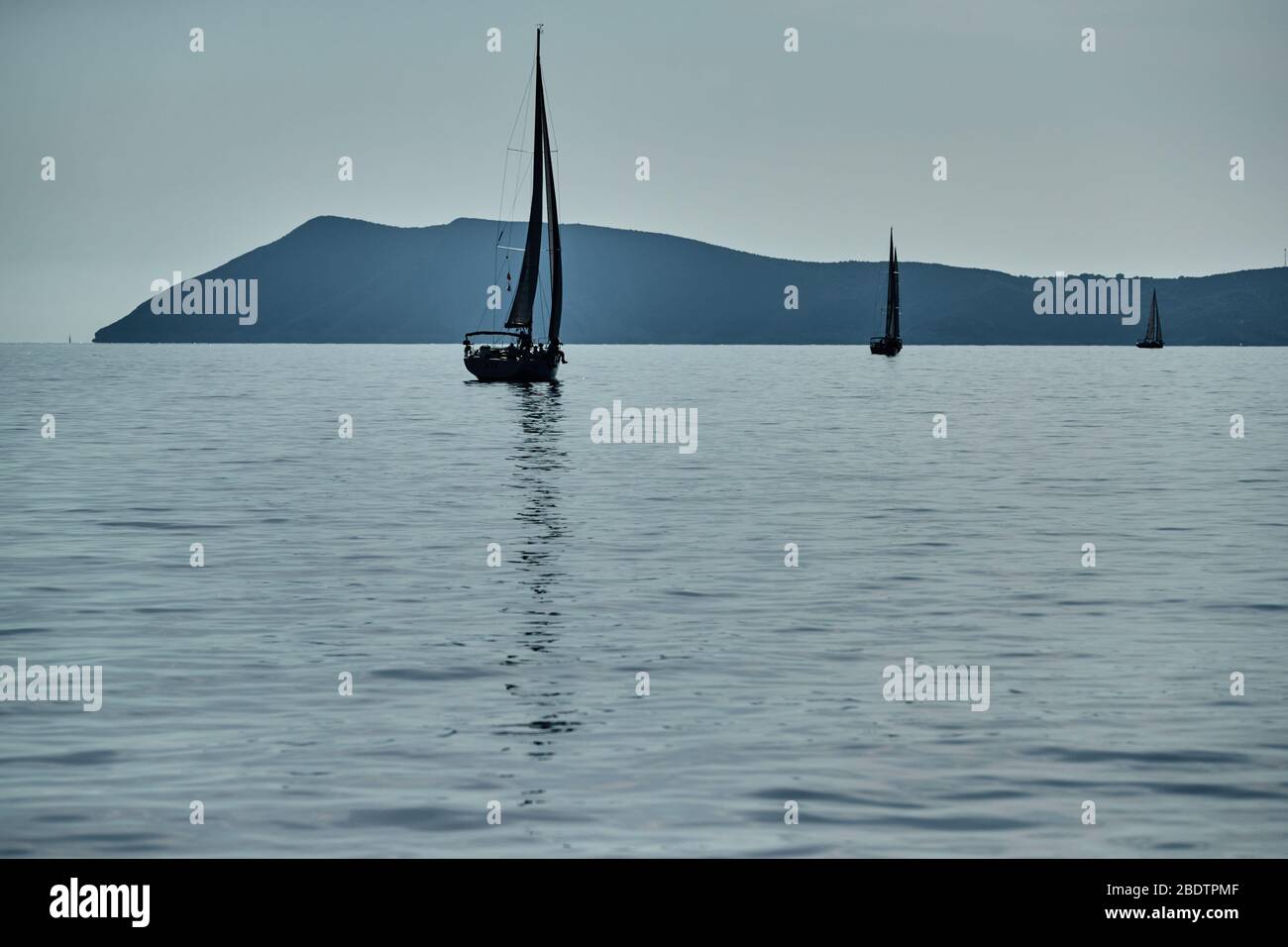 The race of sailboats, silhouettes of sailboats, a sail regatta ...