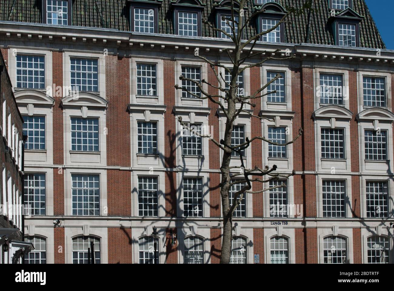 Smith square london hi-res stock photography and images - Alamy