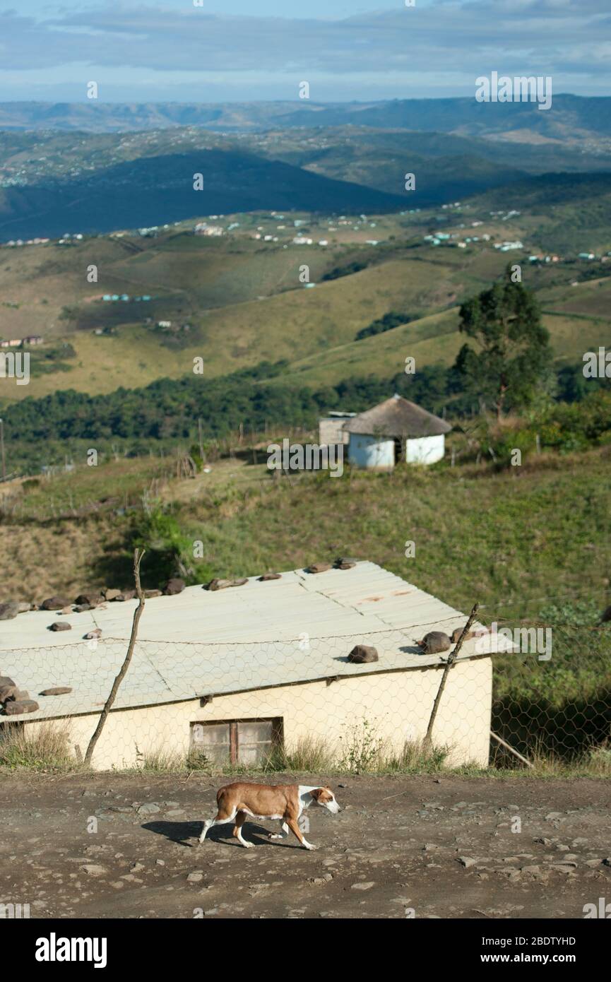 Pondoland hi-res stock photography and images - Alamy