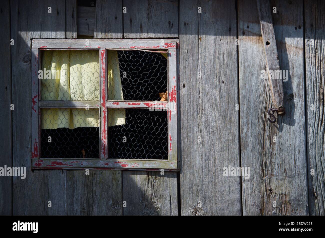 Window with Yellow Curtain Window Frame with Red Peeling Paint on Rural ...
