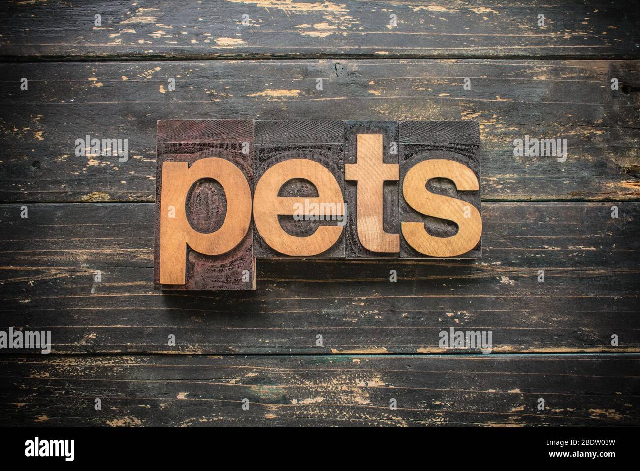 The word "PETS" written in vintage wood letterpress type on a vintage ...