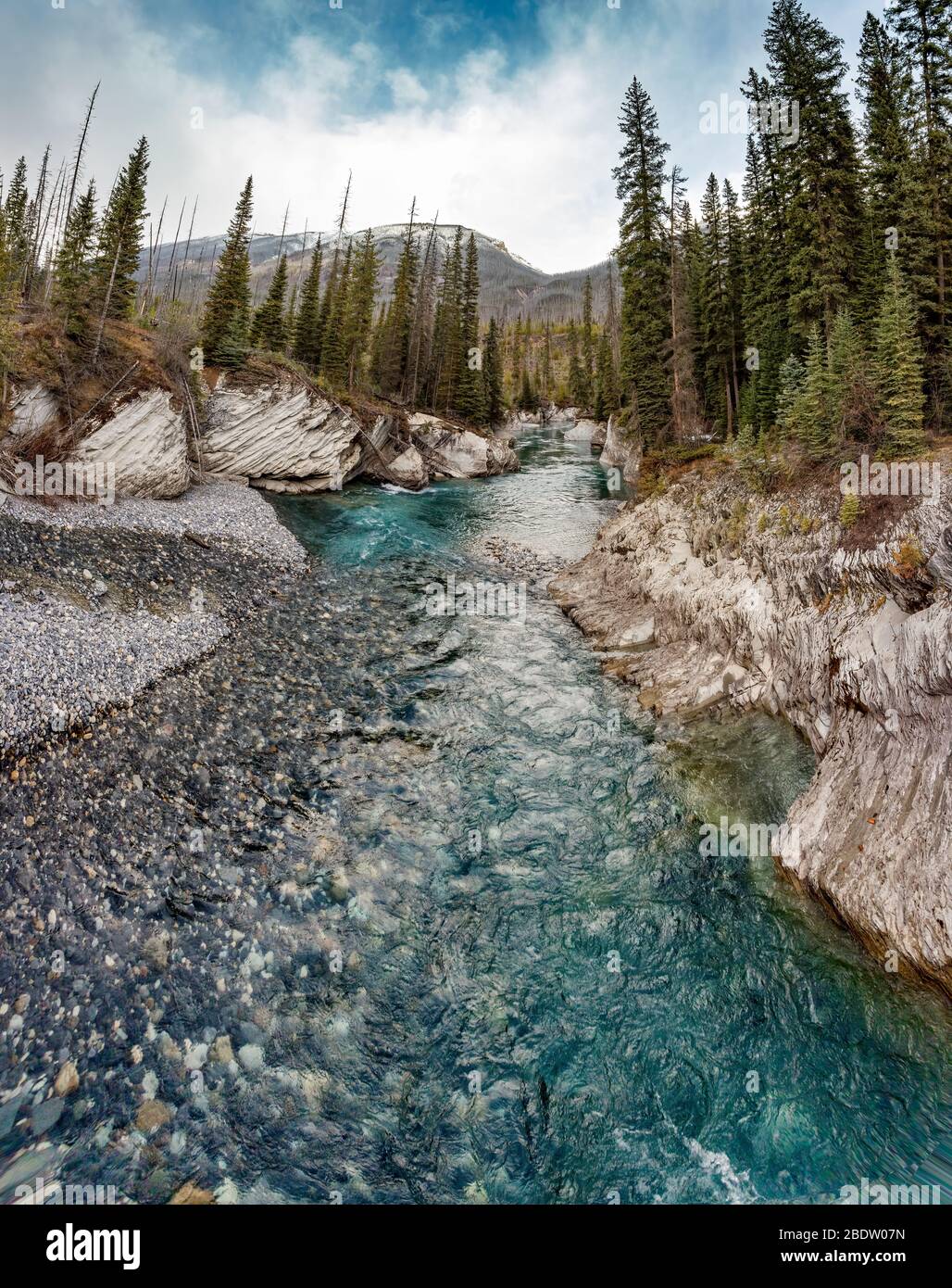 Jasper National Park in the Rocky Mountains, Canada Stock Photo - Alamy