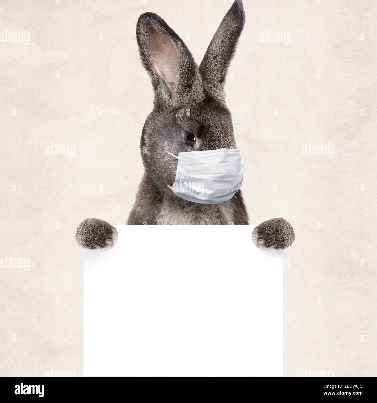 Easter composition with Coronavirus theme. Easter quarantine Stock ...