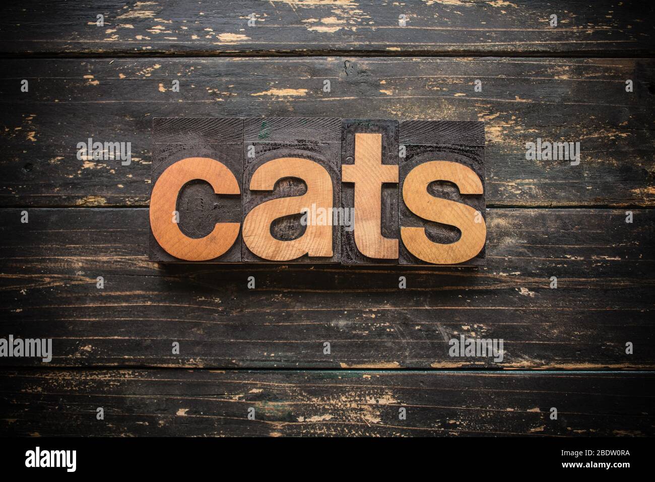 The word "CATS" written in vintage wood letterpress type on a vintage ...