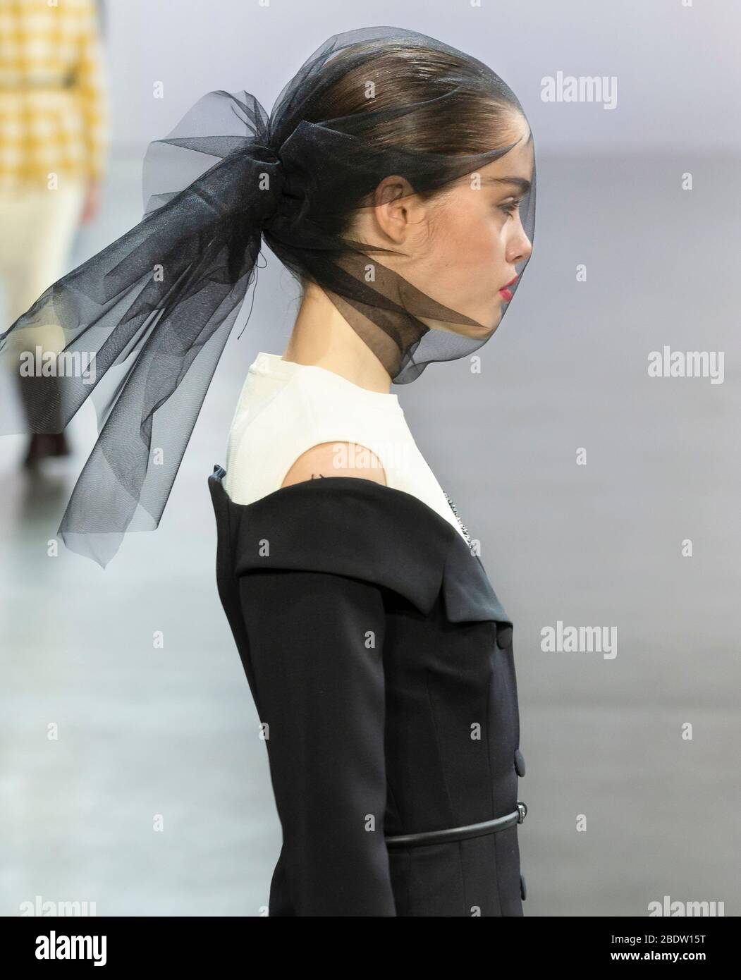 New York, New York - Feb. 09, 2020: Marija Zezelj walks the runway at ...