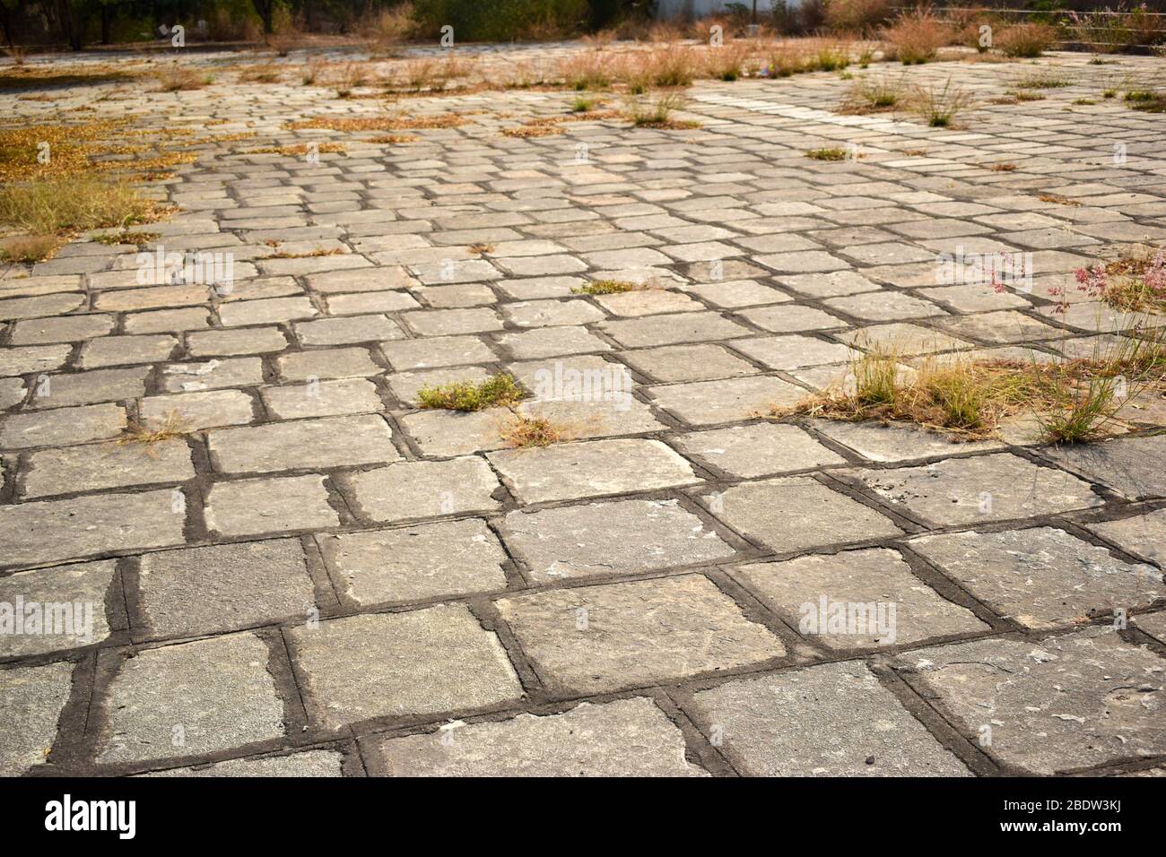 Cool stone pathway hi-res stock photography and images - Alamy