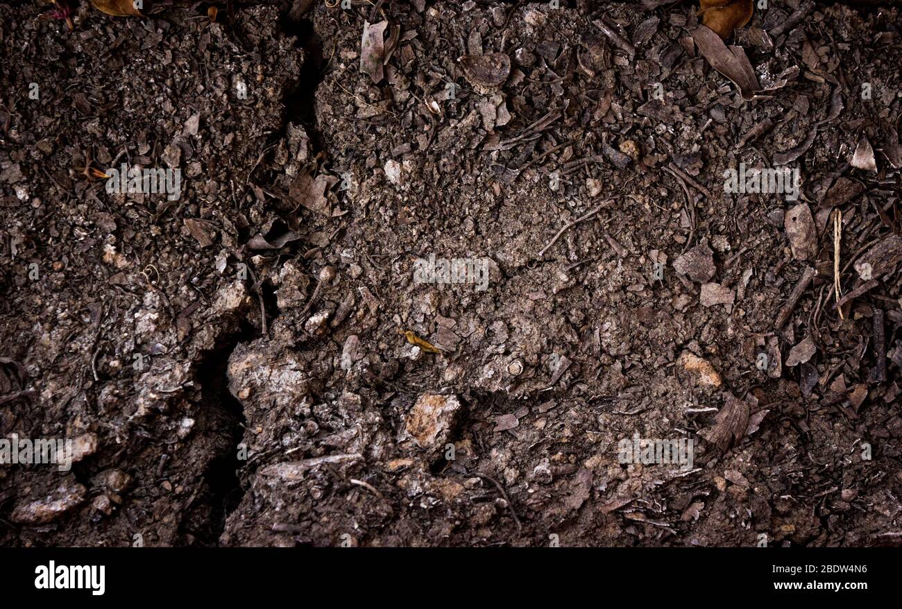 Soil dark ground surface top view texture and background Stock Photo ...