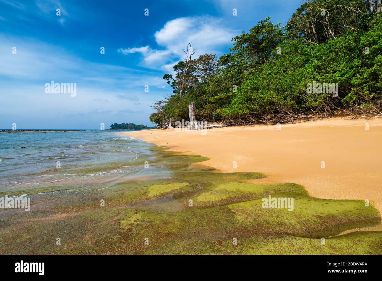 The most beautiful, exotic Sitapur beach on Andaman at Neil Island of ...