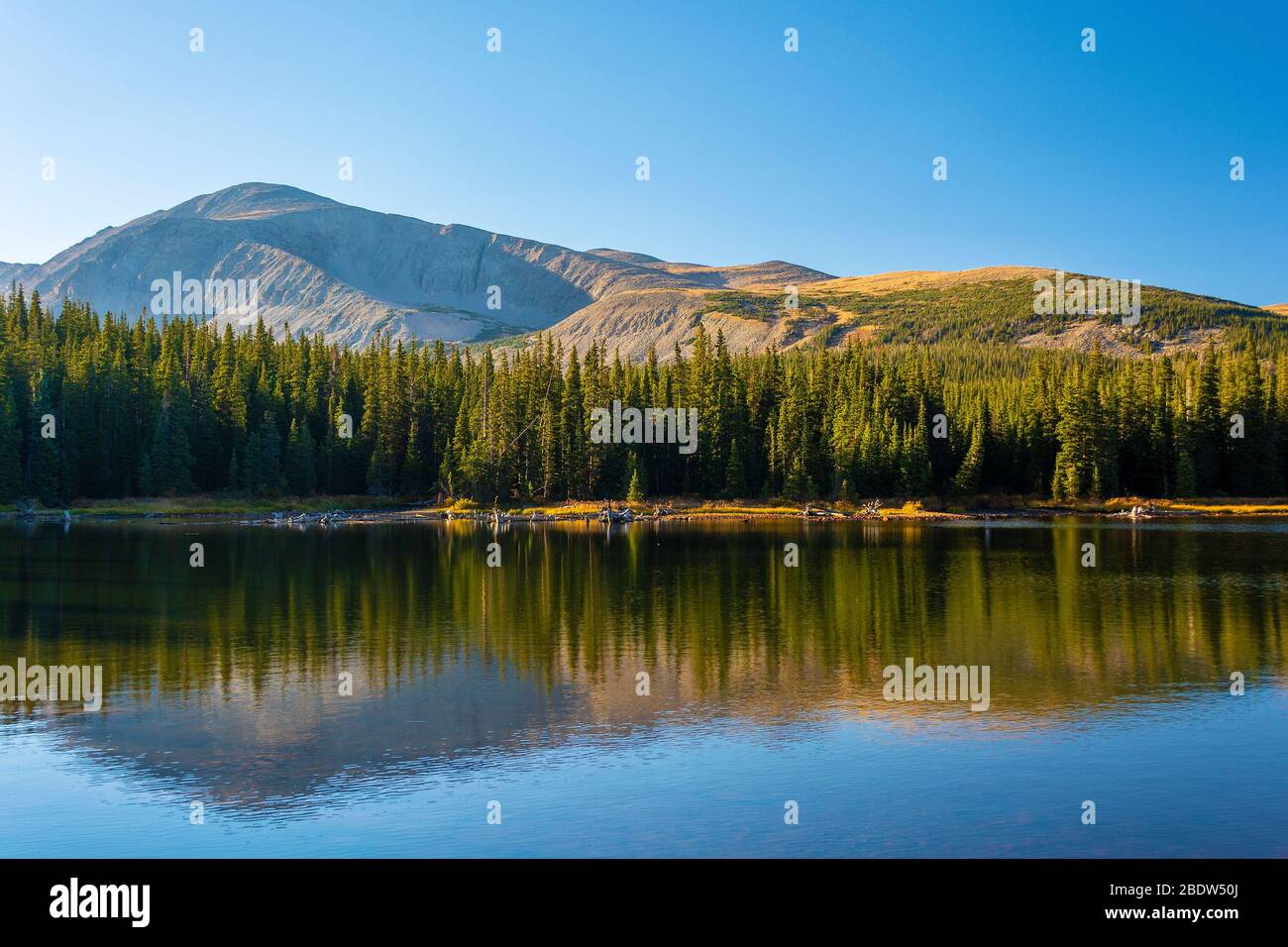 Brainerd lake recreation area hi-res stock photography and images - Alamy