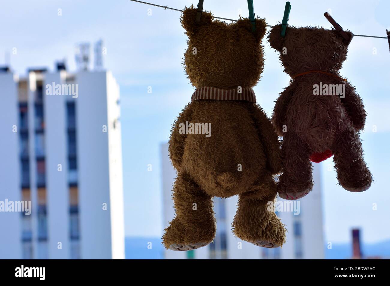 Cute brown toy Teddy Bears Toy hanging on a clothesline whit high ...