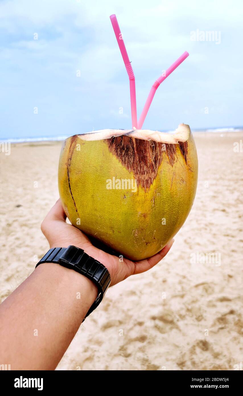 Male hand with a coconut on the beach Stock Photo - Alamy