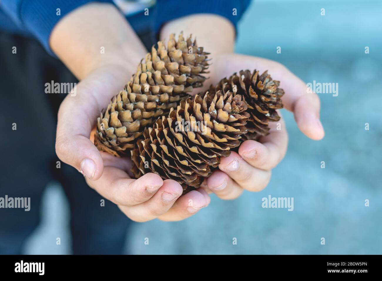 Boy Winter Retro High Resolution Stock Photography and Images - Alamy