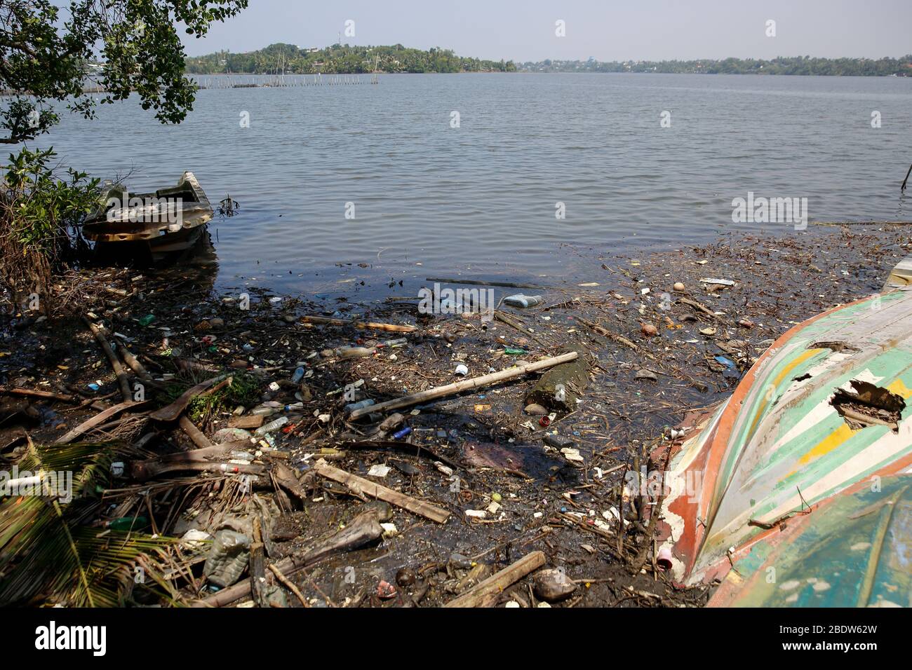 Bolgoda River High Resolution Stock Photography and Images - Alamy
