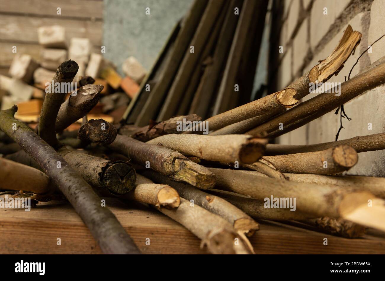 Tree branch stack, garden job, woods, outside Stock Photo - Alamy
