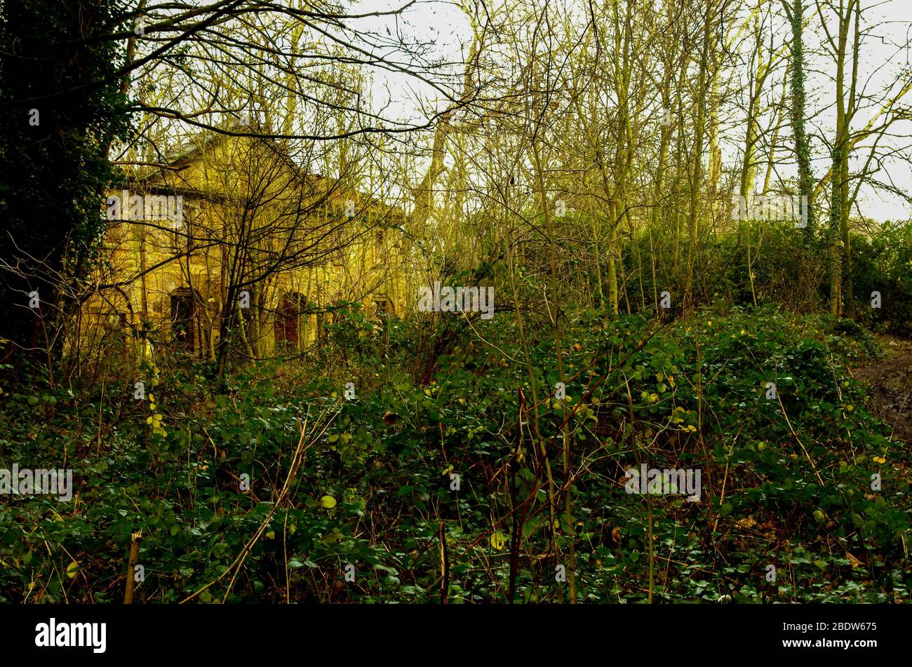 Old house in the forest. Lots of trees overgrown Stock Photo - Alamy