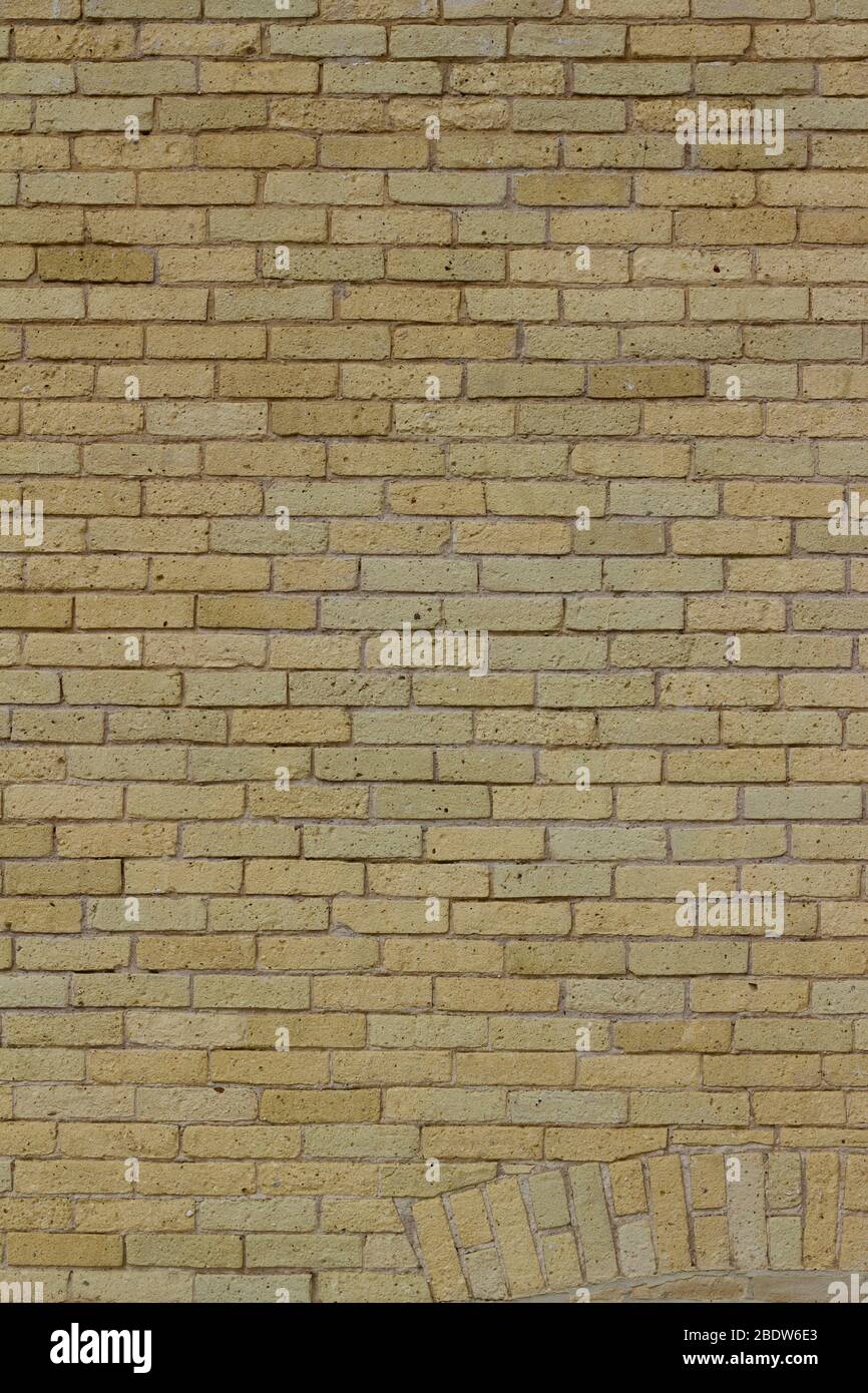 Shabby chic old yellow brick wall texture background, showing a pitted ...