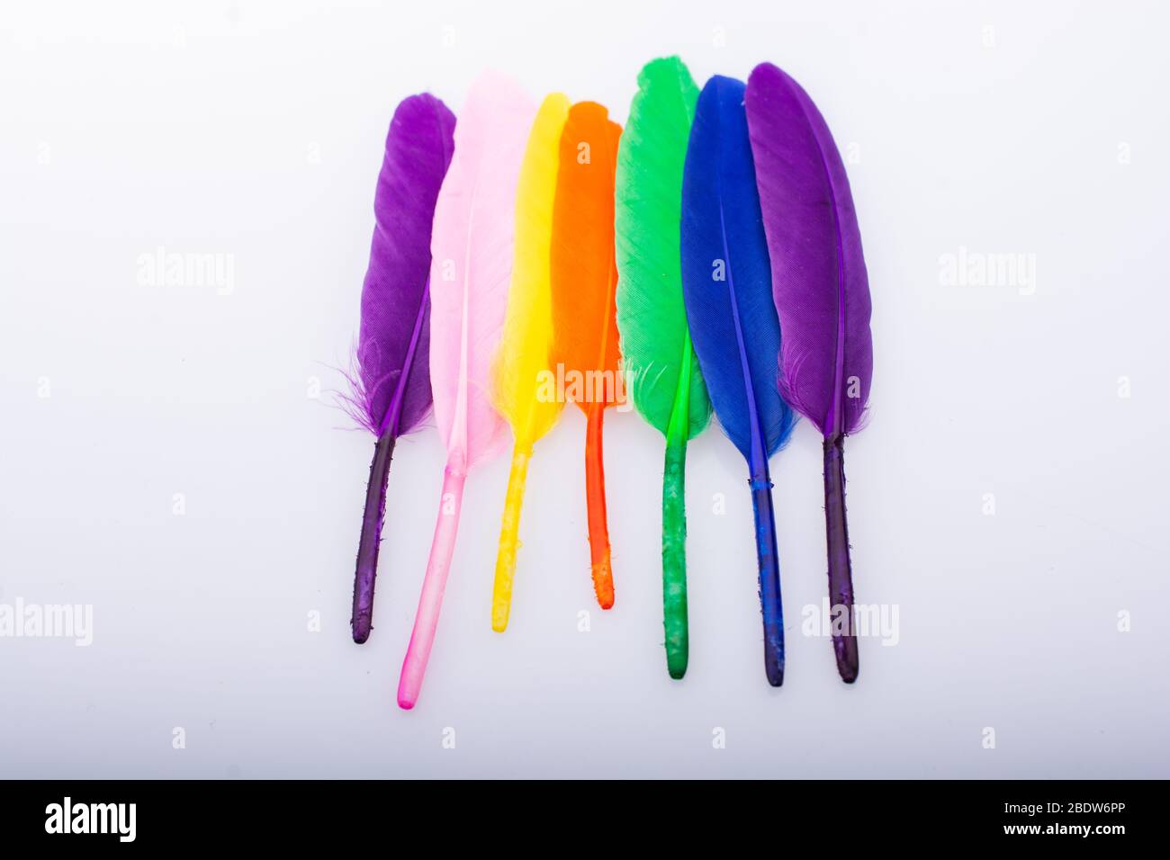 Studio shot photo of colored bird feathers as texture background Stock ...