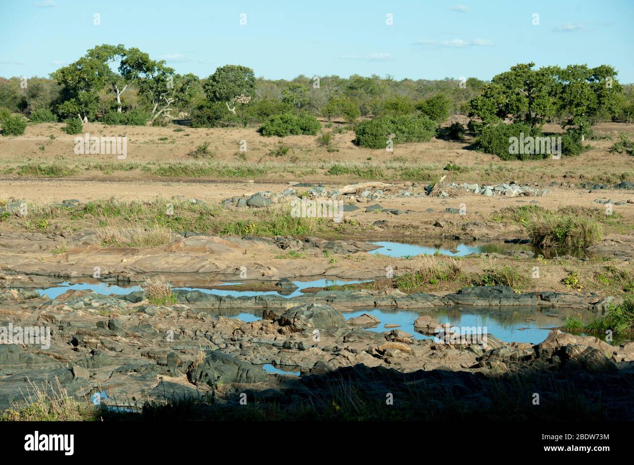 River scene, Shimuwini Bushveld Camp, Kruger National Park, Mpumalanga ...
