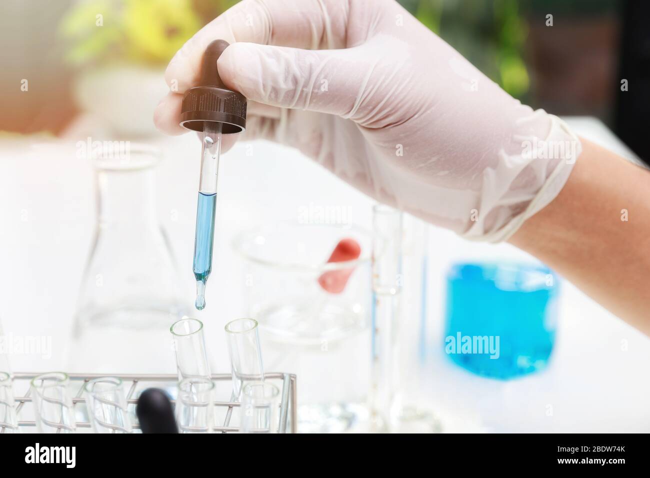 Researcher or scientists loads liquid sample into test tube in ...