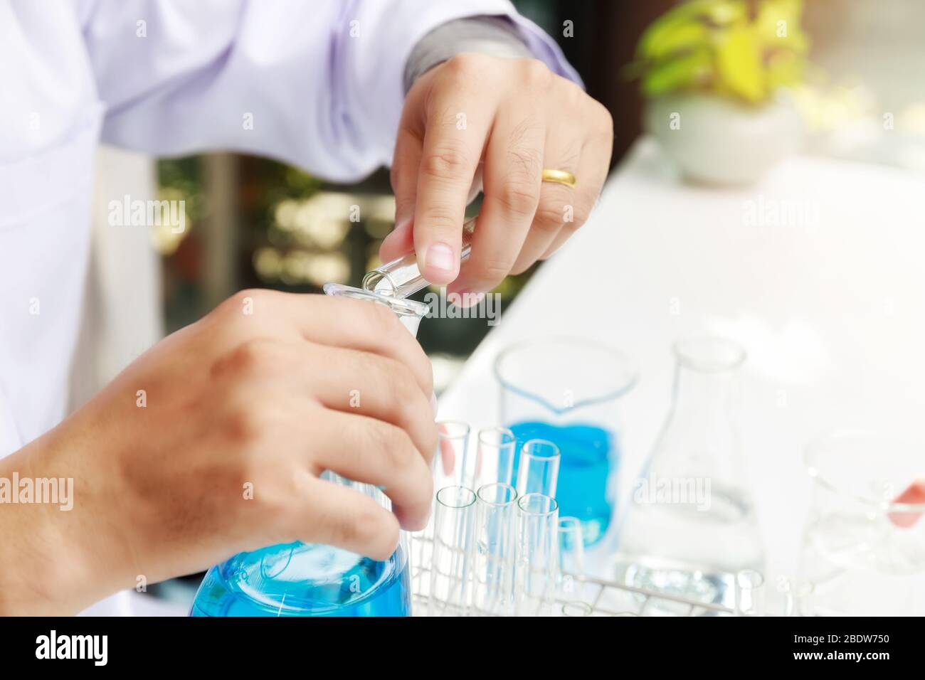 Researcher or scientists loads liquid sample into beaker in laboratory ...