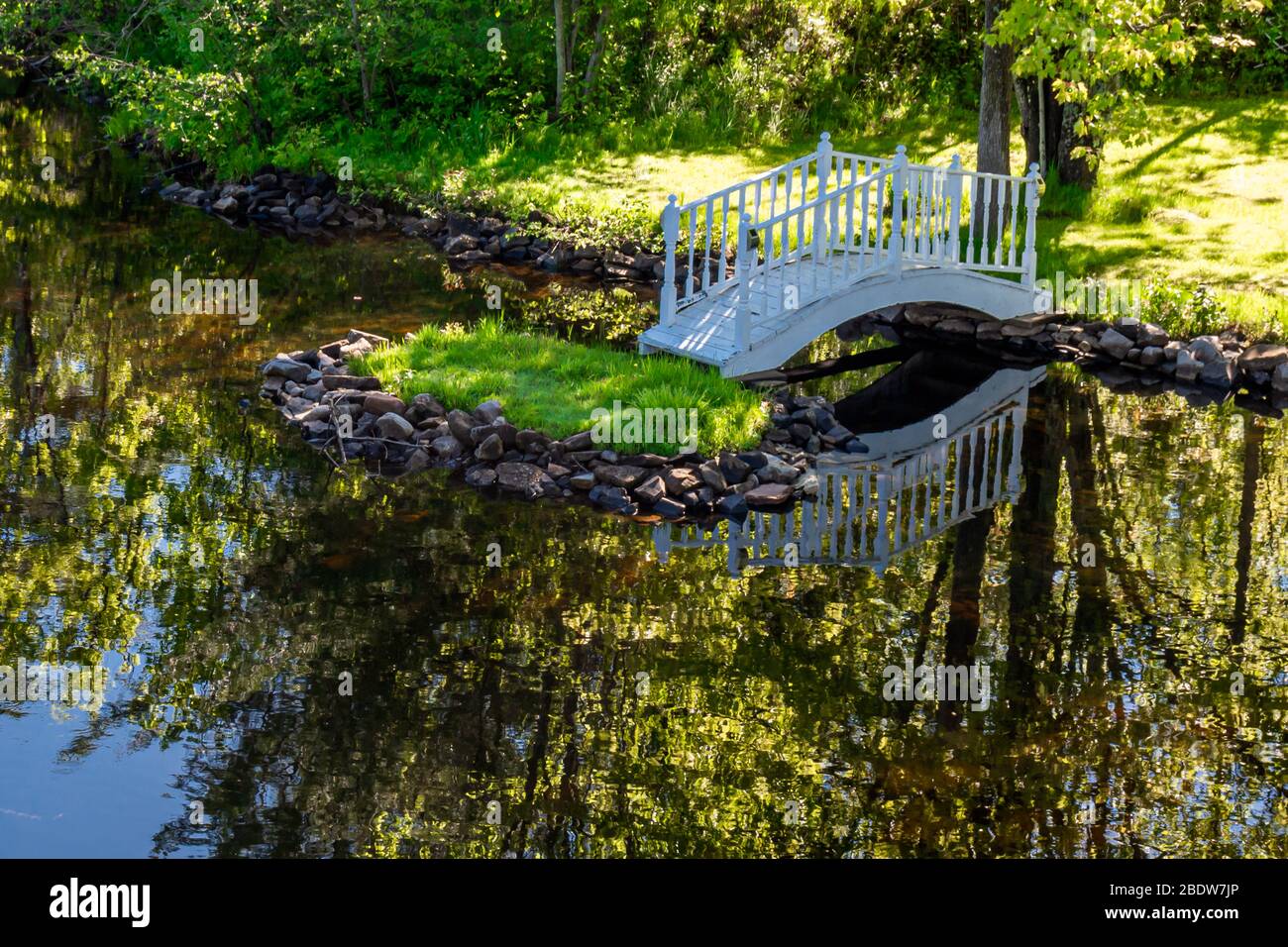 Canadian Cottage country Scene in summer Stock Photo - Alamy