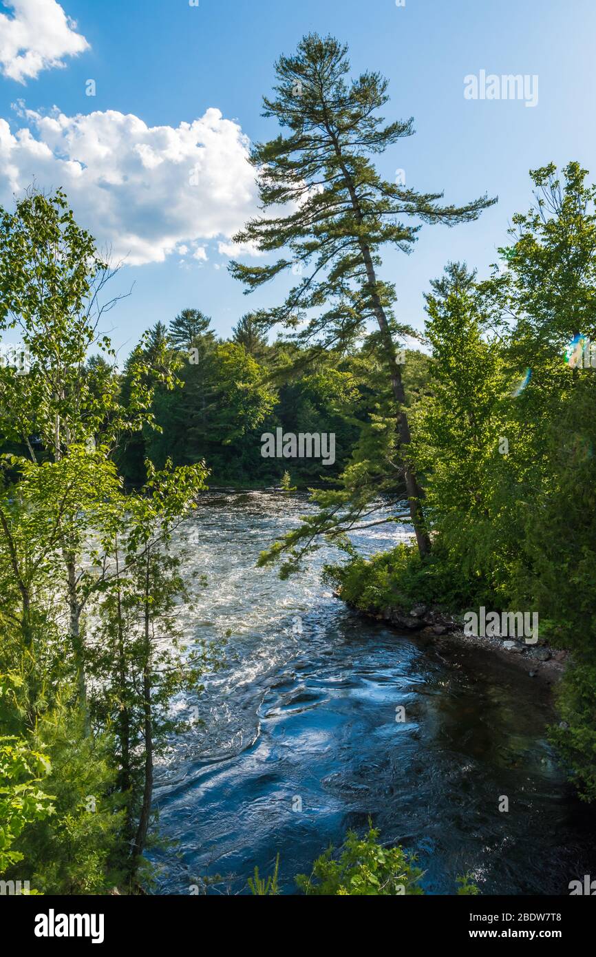 Canadian Cottage country Scene in summer Stock Photo - Alamy