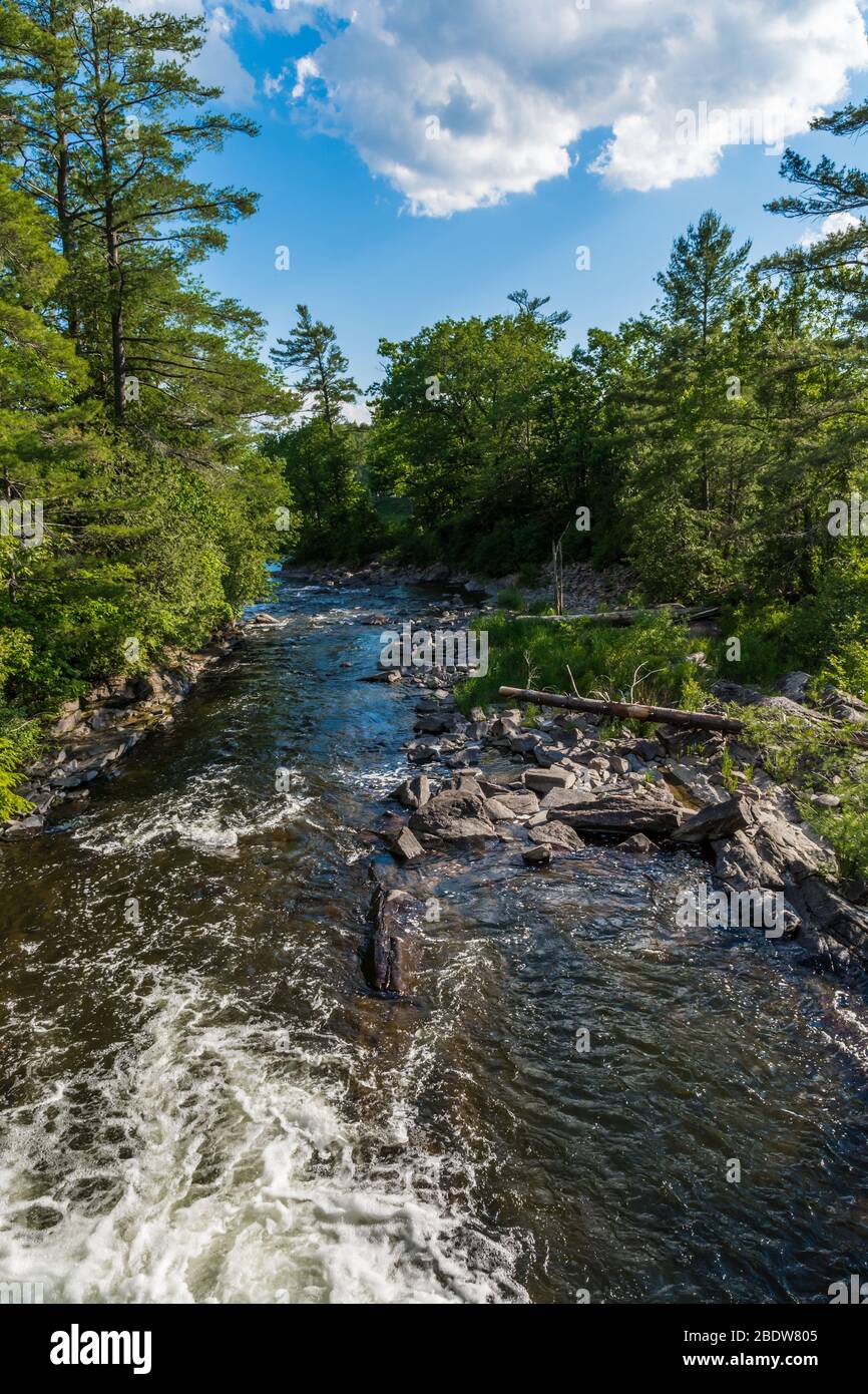 Canadian Cottage country Scene in summer Stock Photo - Alamy