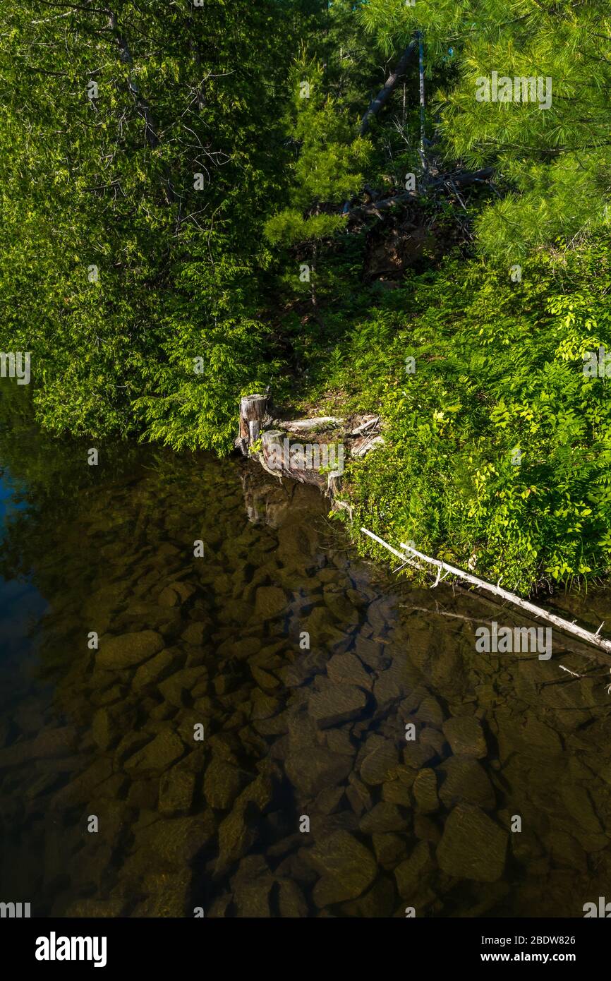 Canadian Cottage country Scene in summer Stock Photo - Alamy