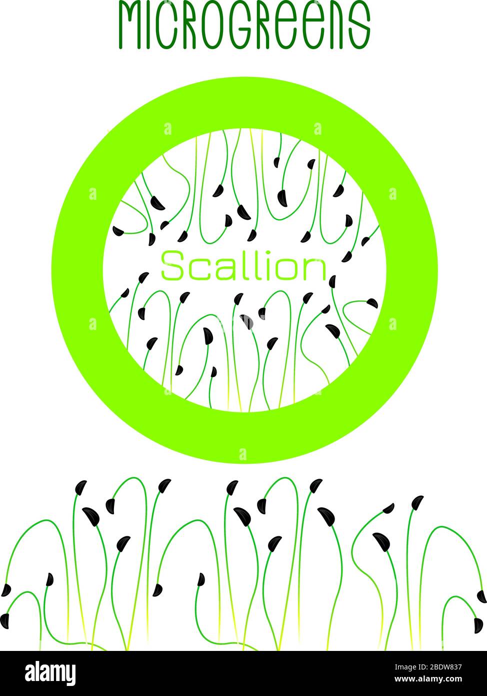 Microgreens Scallions. Seed packaging design, round element in the ...