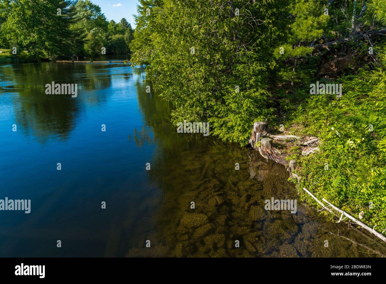 Canadian Cottage country Scene in summer Stock Photo - Alamy