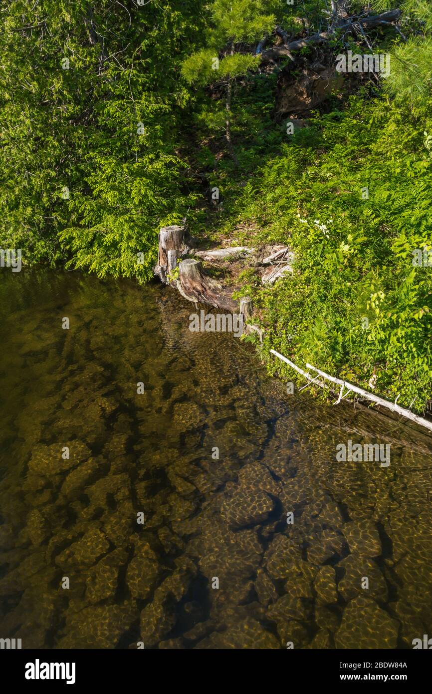 Canadian Cottage country Scene in summer Stock Photo - Alamy