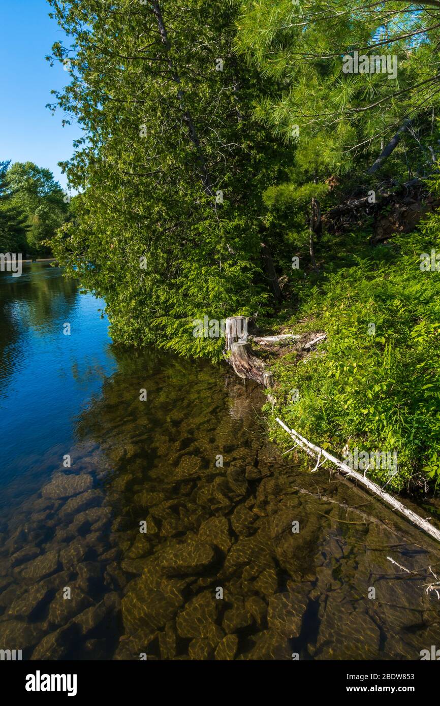 Canadian Cottage country Scene in summer Stock Photo - Alamy