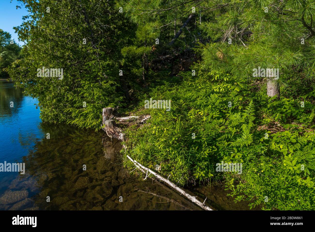 Canadian Cottage country Scene in summer Stock Photo - Alamy