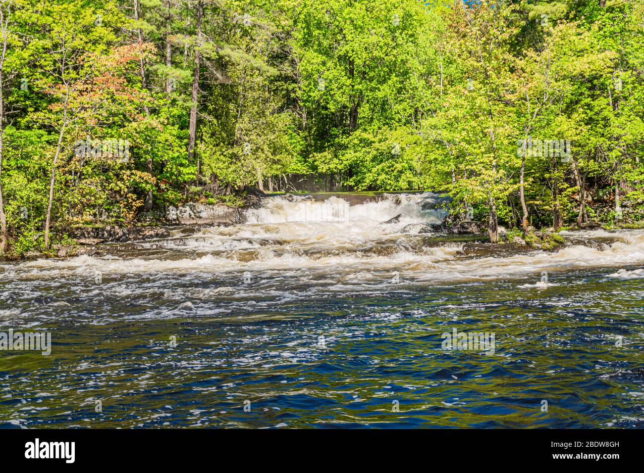 Canadian Cottage country Scene in summer Stock Photo - Alamy