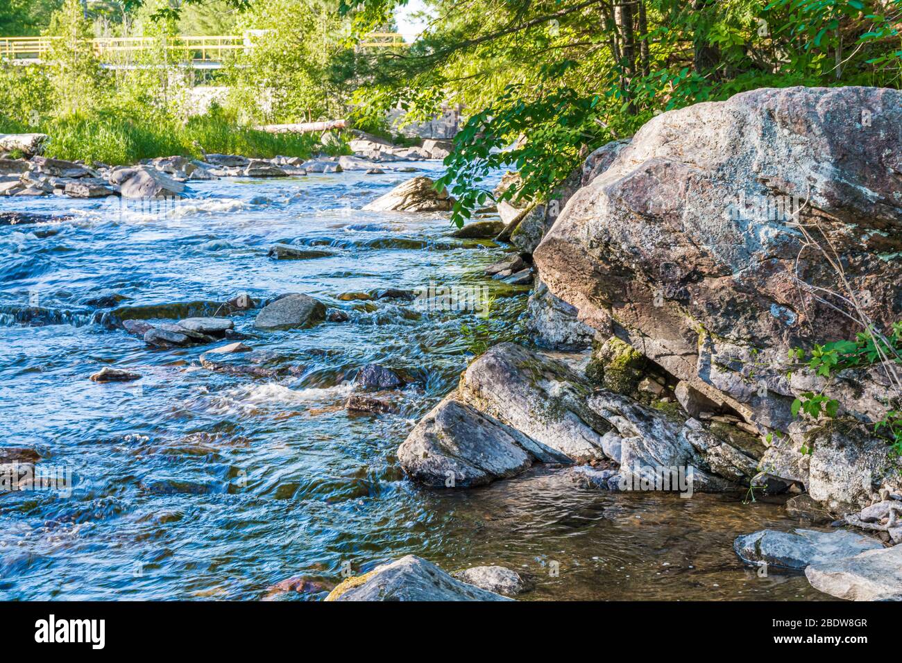 Canadian Cottage country Scene in summer Stock Photo - Alamy