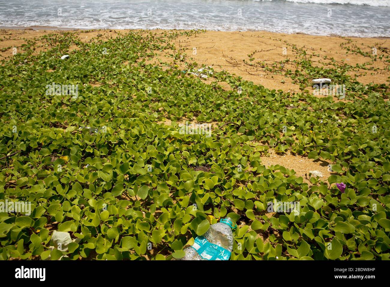 Sri Lankan Garbage High Resolution Stock Photography and Images - Alamy