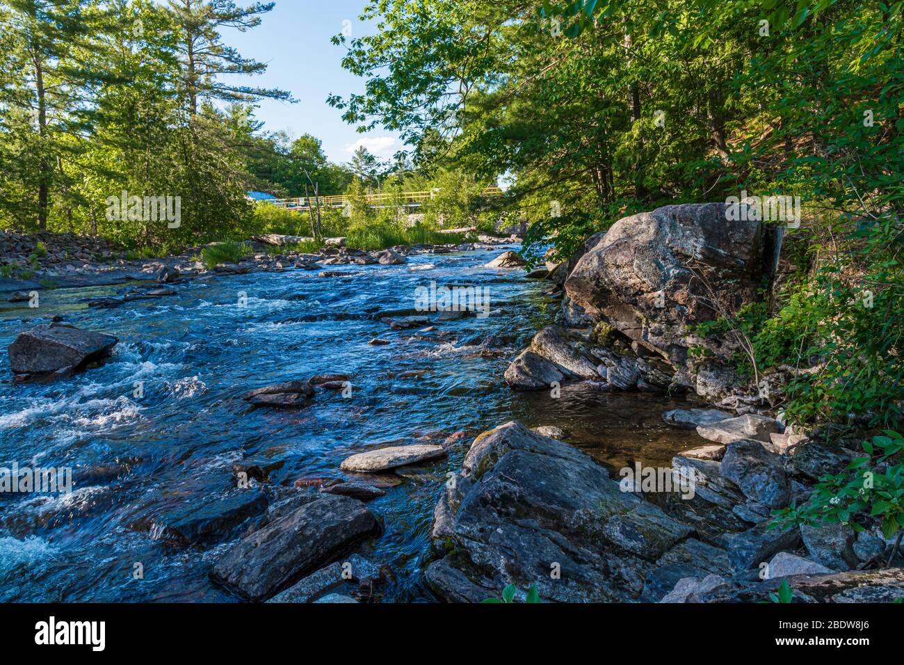 Canadian Cottage country Scene in summer Stock Photo - Alamy