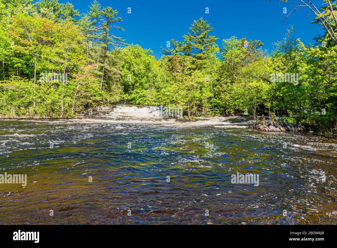 Canadian Cottage country Scene in summer Stock Photo - Alamy