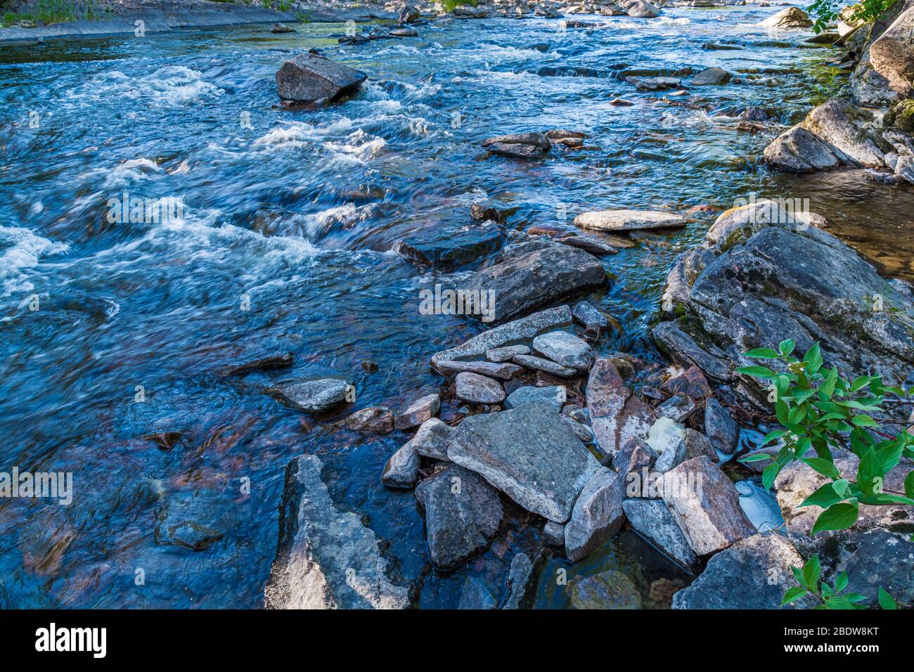 Canadian Cottage country Scene in summer Stock Photo - Alamy