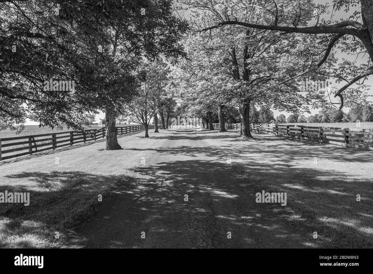 Canadian Cottage country Scene in summer Stock Photo - Alamy