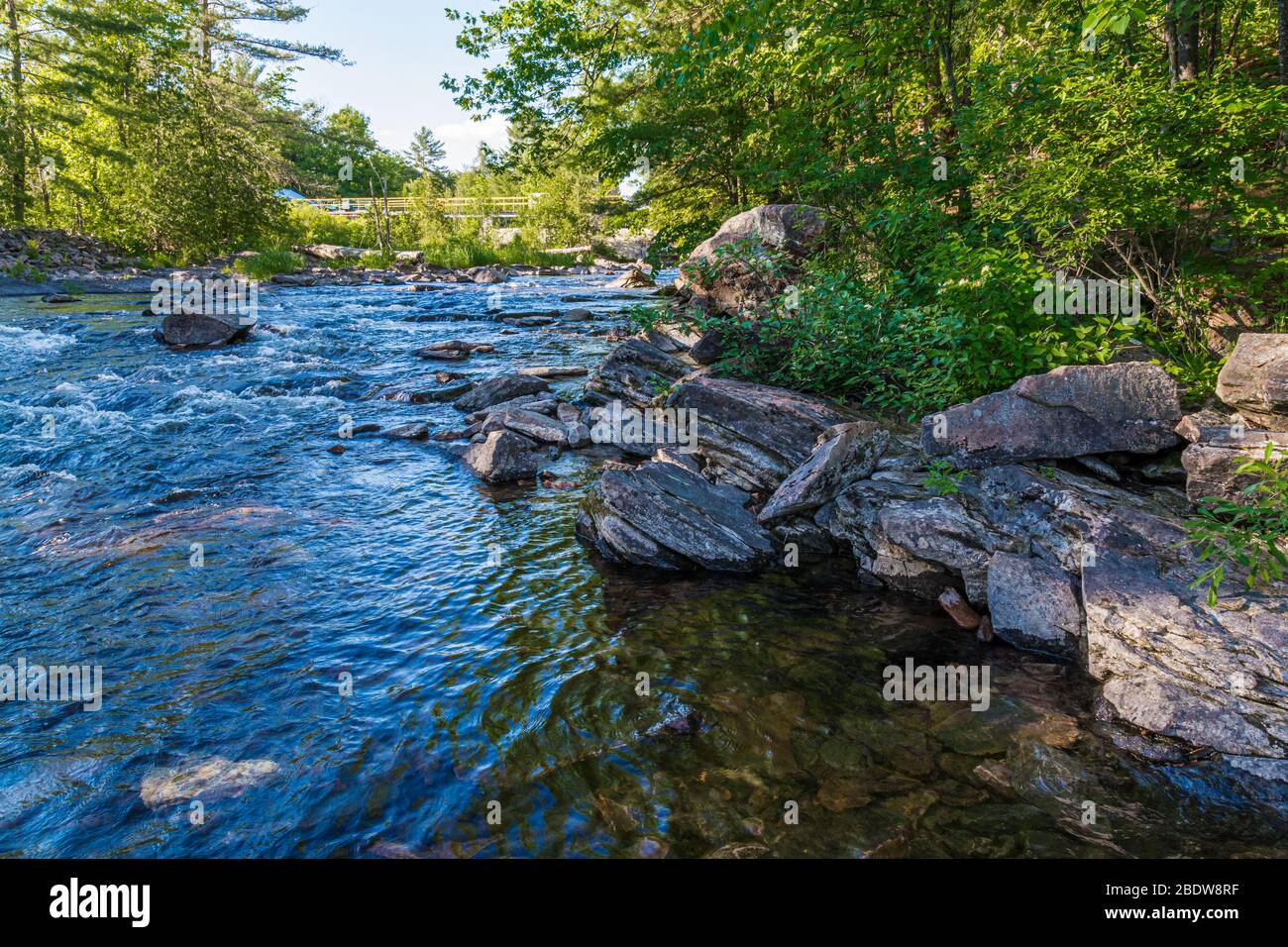 Canadian Cottage country Scene in summer Stock Photo - Alamy